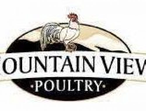 Project Completion - Chestermere Lift Station 13 - Waste'n WaterTech